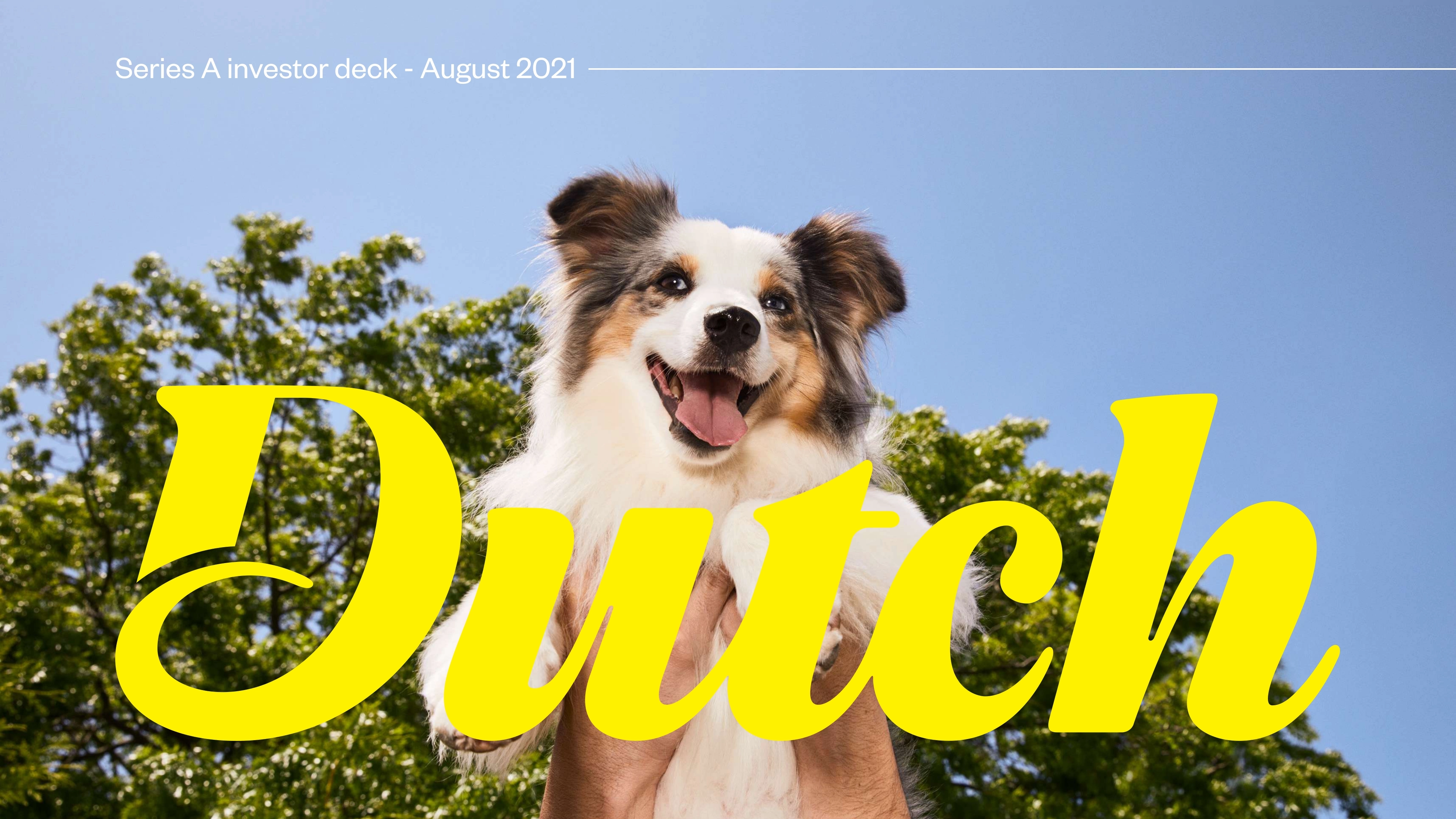 Dutch's $20k Series A Pitch Deck - All Slides